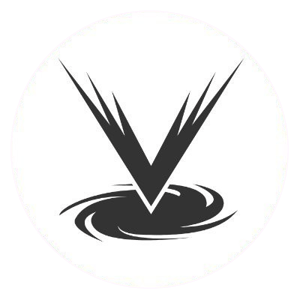 Void Gaming - Esports Brands - ProSettings.net