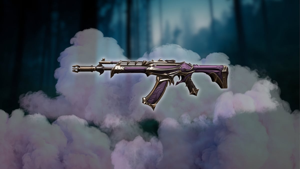 Best Vandal Skins in VALORANT - ProSettings.net