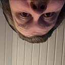 Leamonhead Apex Legends Settings, Crosshair & Config - ProSettings.net