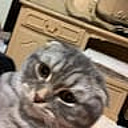 garnetS VALORANT Settings, Crosshair & Config - ProSettings.net