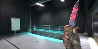 CS2 Knives - Everything You Need To Know - ProSettings.net