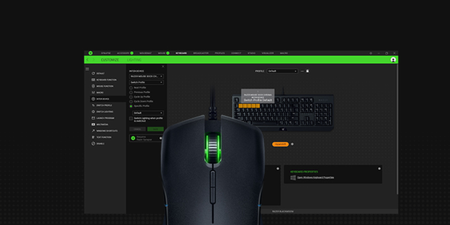 What is Razer Synapse? - ProSettings.net