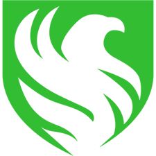 Falcons Esports - ProSettings.net