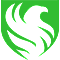 Falcons Esports - ProSettings.net