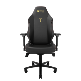 Letshe Fortnite Settings, Crosshair & Config - ProSettings.net